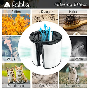 2 Pack TP06 Replacement Filter Compatible with Dyson TP06 TP04 HP04 HP06 TP07 HP07 HP09 TP09 TP08 PH01 PH02 PH03 360° Combi 2 in 1 HEPA+Carbon Filters,Black