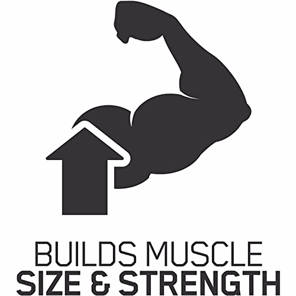 Optimum Nutrition Micronized Creatine Monohydrate Powder, Unflavored, Keto Friendly, 120 Servings (Packaging May Vary)