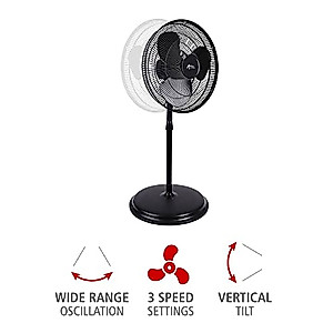 Alera ALEFANP16B 120V 0.37 Amp 3-Speed 16 in. Corded Pedestal Stand Fan - Black
