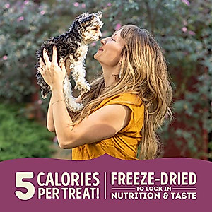 Acana Singles Grain Free Dog Treats, Limited Ingredients & Freeze-Dried, Made in USA, Lamb & Apple, 3.25 Ounce