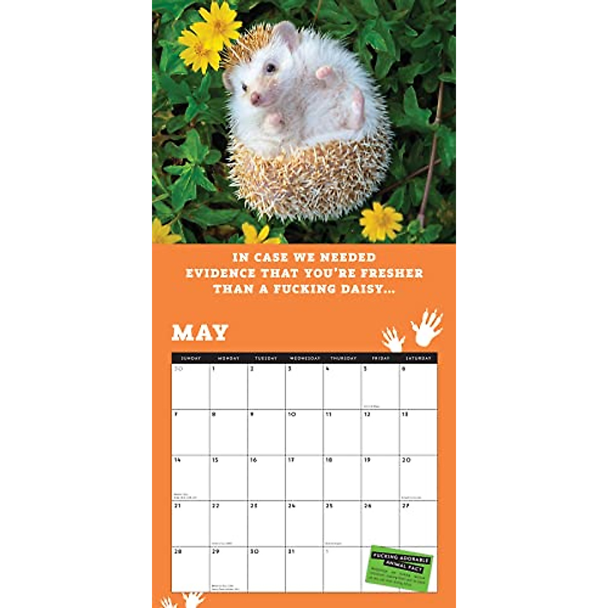 2023 Too F*cking Cute Animals Wall Calendar: A Year of D*mn Adorable Animals (Funny Monthly Calendar & White Elephant Gag Gift for Animal Lovers)