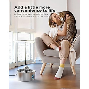 GOOSTOO Stainless Steel Cat Water Fountain - 108oz/3.2L Quiet Pet Fountain with Water Level Window - Attracts Cats to Drink