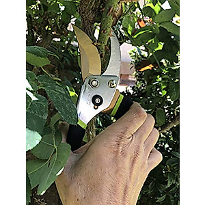 Q-yard QY-731L Traditional Bypass Pruning 8.5" Titanium Blade- Handheld Gardening Tools Shears