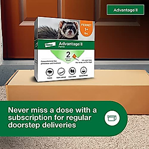 Advantage II Ferret Vet-Recommended Flea Treatment & Prevention | Ferret 1+ lbs. | 2-Month Supply