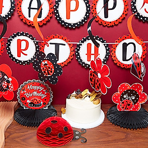 Ladybug Fancy Party Decoration Kit - Cute Birthday Banner, Honeycomb Centerpiece, Hanging Swirls for Girls Birthday Baby Shower Party Supplies