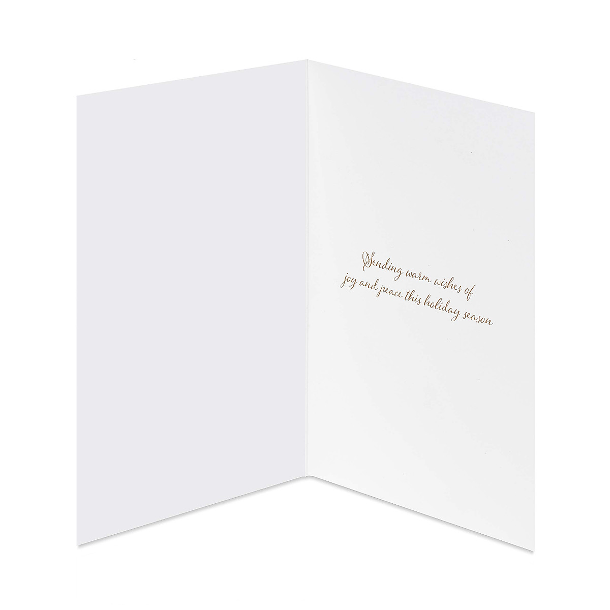 Papyrus Holiday Cards Boxed with Envelopes, Warm Wishes, Gold Reindeer (12-Count)