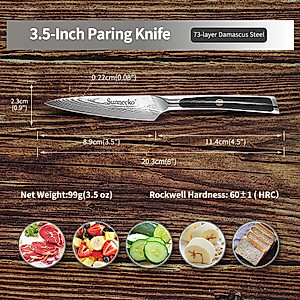 Sunnecko Small Kitchen Knife Japanese Paring Knife 3.5 Inch, Damascus Knife Full Tang, Fruit Knife Dishwasher Safe VG-10 High Carbon Stainless Steel with G10 Handle