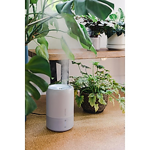 doTERRA Dawn Aroma Humidifier 1.8 L (Up to 22 Hour Runtime)