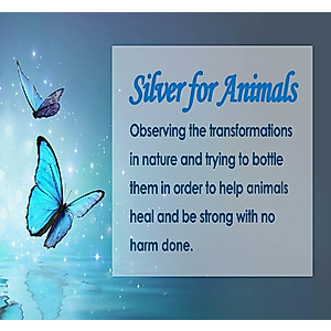 Optimum You Colloidal Silver Liquid for Pets, Dogs, Cats | 500 ppm, Extra Strength (8 oz) | Spray & Drops | Hot Spot & Itch Relief | Wound Care | Immune Support