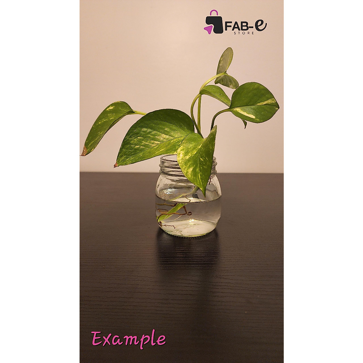 Small Mason Jars Regular Mouth - 8 oz Clear Glass Jars without lid, ideal for drinks, beverages, decoration, plants, container, candies, gifts, 6 pack