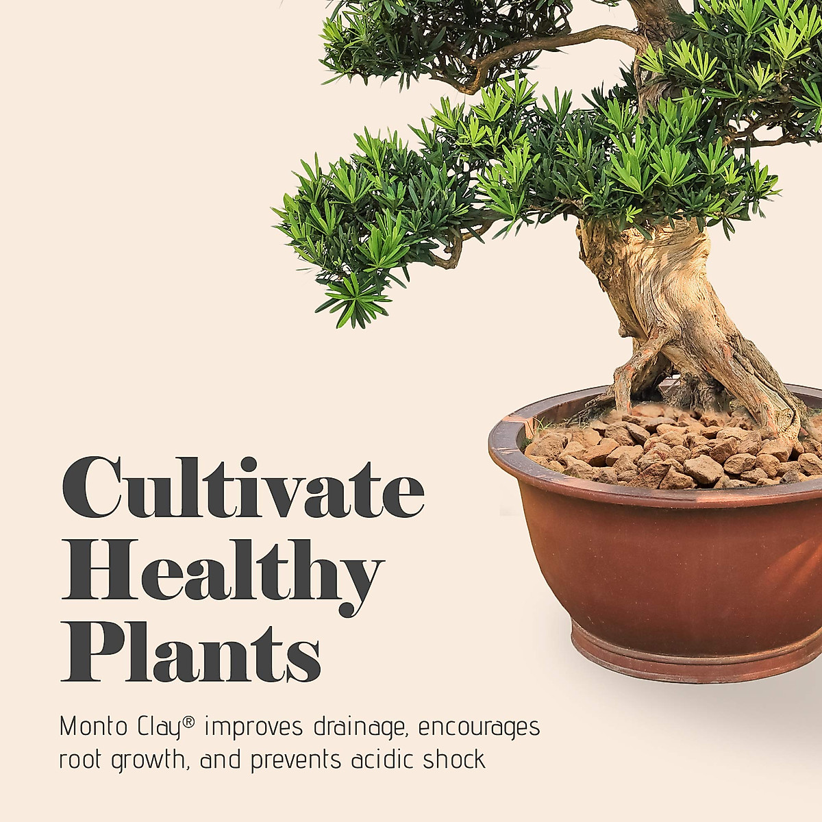 Monto Clay pH 5.6 (Montmorillonite Calcined Clay) Bonsai Soil Amendment (2 Dry Quarts)