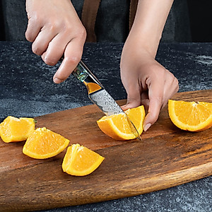 SENKEN Damascus Steel 3.5" Paring Knife with Real Deep-Sea Abalone Shell Handle - Damascus Peeling Knife - 67-Layer Japanese VG10 Forged Steel Blade, Integrated Full-Tang Molding (3.5" Paring Knife)