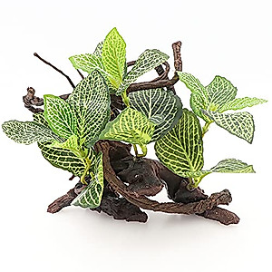 HRRIVE Reptile Rain Forest Ground Plants Decorations for Lizard Snake Bearded Dragon Crested Gecko Amphibian and Terrarium Habitat Decor