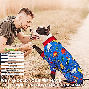 LovinPet Pitbull Large Dog Clothes, Wound Care/Post Surgery Dog Clothes, Lost World Dinosaurs Print, UV Protection, Pet Anxiety Relief, Large Dog Onesies, Pet PJ's/XL