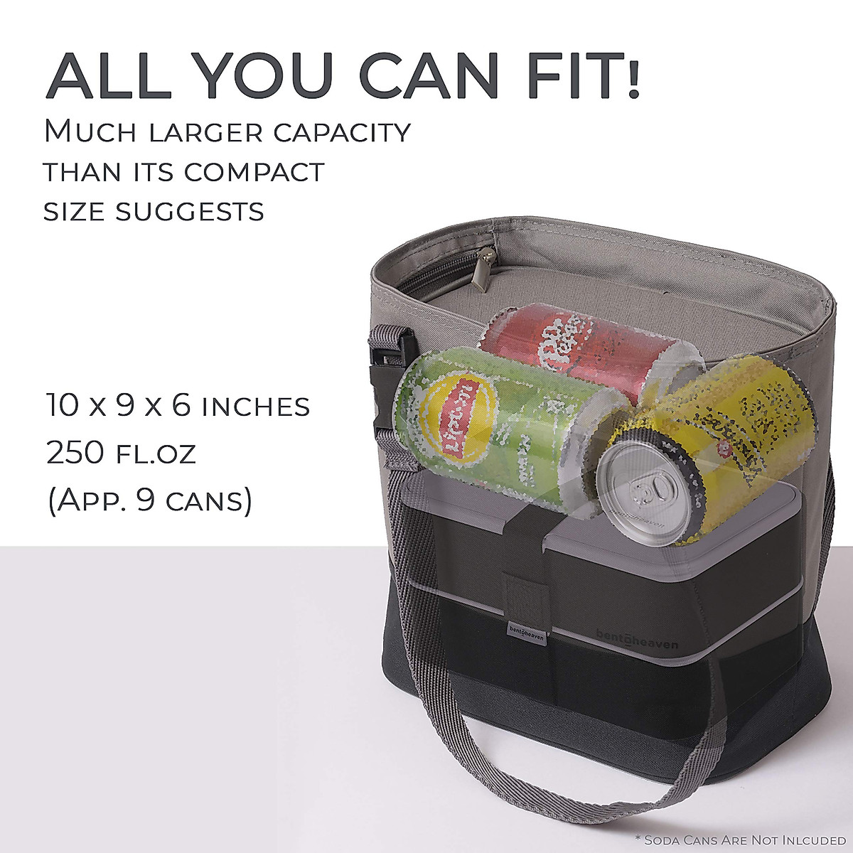 Bentoheaven Premium Bento Lunch Box with Insulated Lunch Bag - Includes Sauce Cup, Divider, Cutlery & Chopsticks - Made of Durable Aluminum and Foam