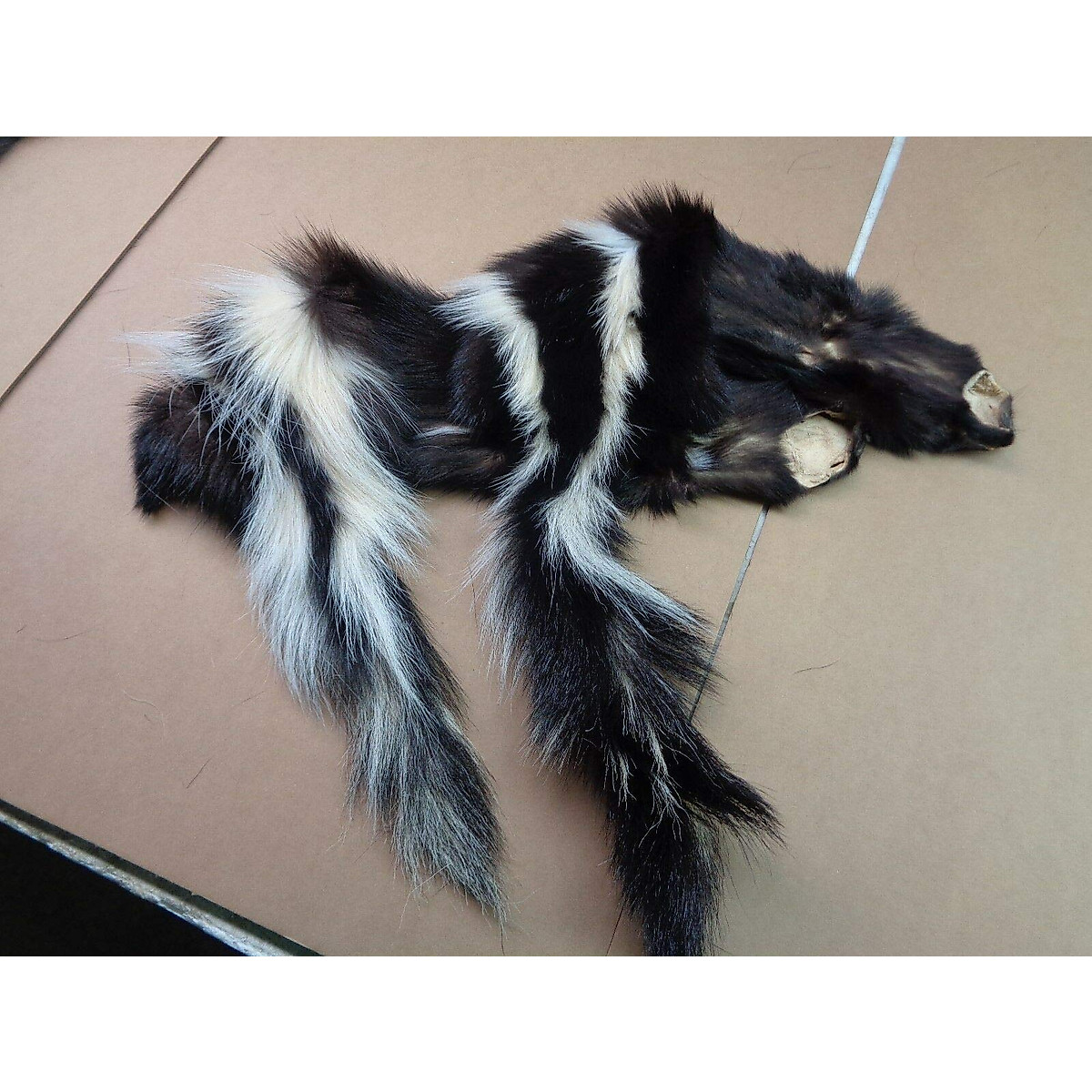 Real XL Tanned Skunk Hide Fur Pelt Face Tail Winter Prime Coat 32-36" USA (Grade #1)