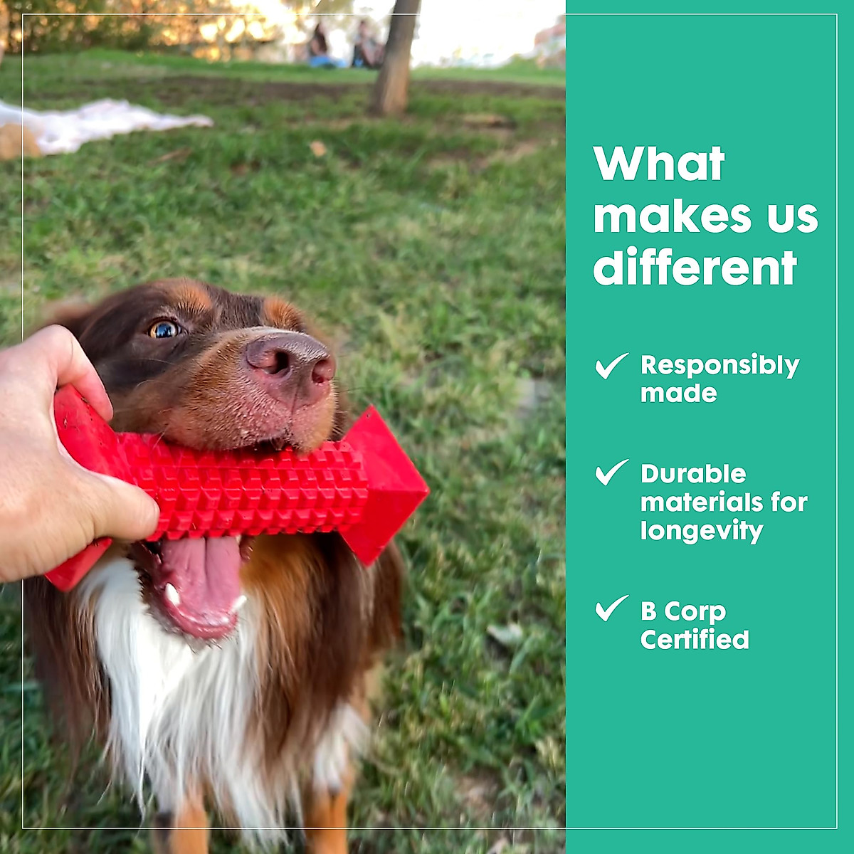 Dog Chew Toys for Aggressive Chewers – Tough Chew Toys for Dogs with Treat Dispenser – Indestructible Rubber Dog Toy for Teeth Cleaning – Chew Bones for Large Dogs