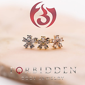 Forbidden Body Jewelry 16g 8mm Internally Threaded Cartilage, Tragus, Labret & Monroe Stud w/CZ Floral Top, 14k Gold Plated