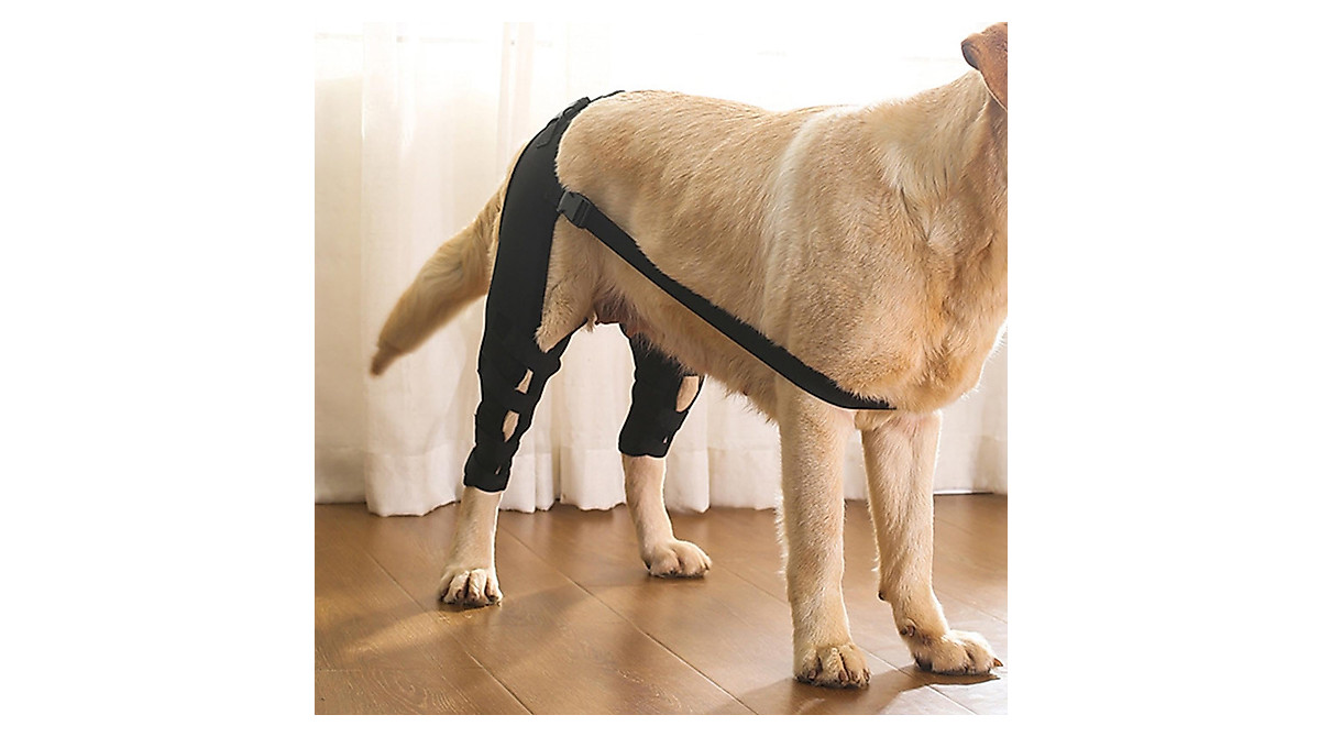 Dog Rear Leg Knee Brace for Injury Support & Healing