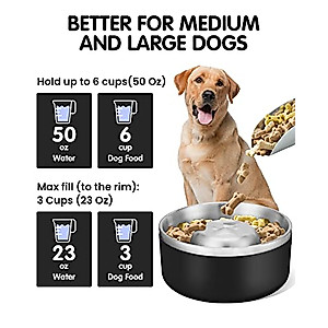 PETTOM Slow Feeder Dog Bowl, 18/8 Stainless Steel Dog Bowl Slows Down Food, Non-Slip Rubber Bottom Pet Food Water Bowl (50oz, Black)