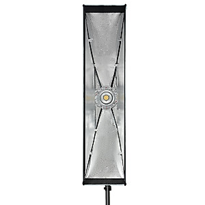 Aputure Light Box Rectangle Softbox with Grid for Portraits Product Photography Video Shooting for Amaran 60c/60x 200/100d, Aputure LS 300d II 300x 600d pro 120d ii LED Video Light (30X120)