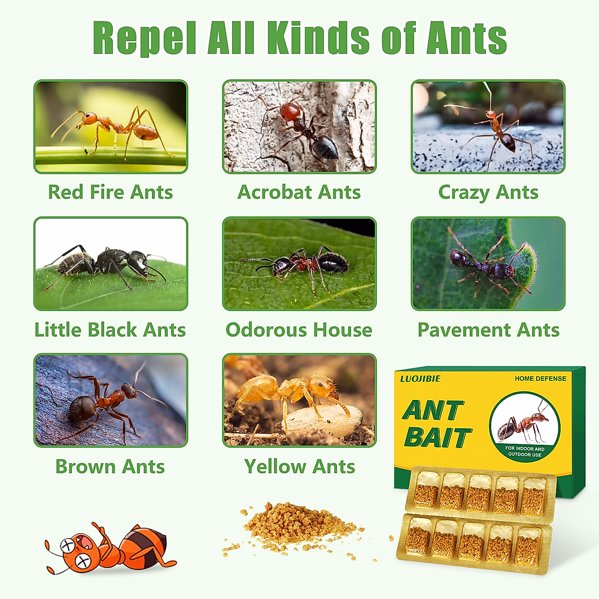 LUOJIBIE Ant Killer Bait for Household Use, Ant Traps, Strongly and Effectively Ant Control for Indoor&Outdoor-10 Count