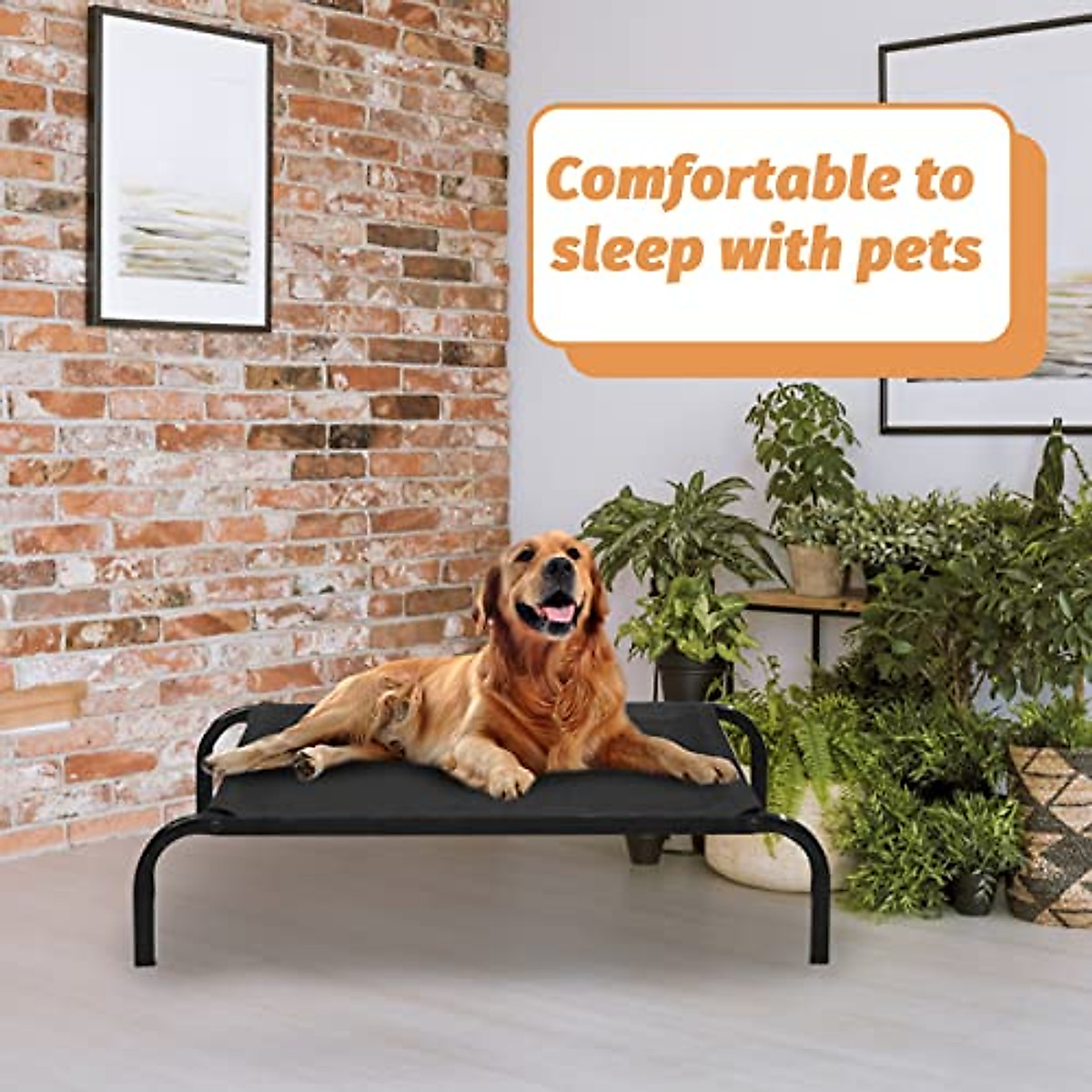 Outdoor Elevated Pet Bed Pet Cot Breathable Mesh Dog Bed for Pets Small Medium Large Dogs Puppies Cats Kitttens and Birthday