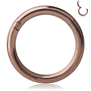 Ruifan 1PC Stainless Steel Hinged Seamless Segment Hoop Septum Clicker Ring Lip Helix Tragus Cartilage Earrings Nose Rings Pirecing 14g 8mm Rose Gold