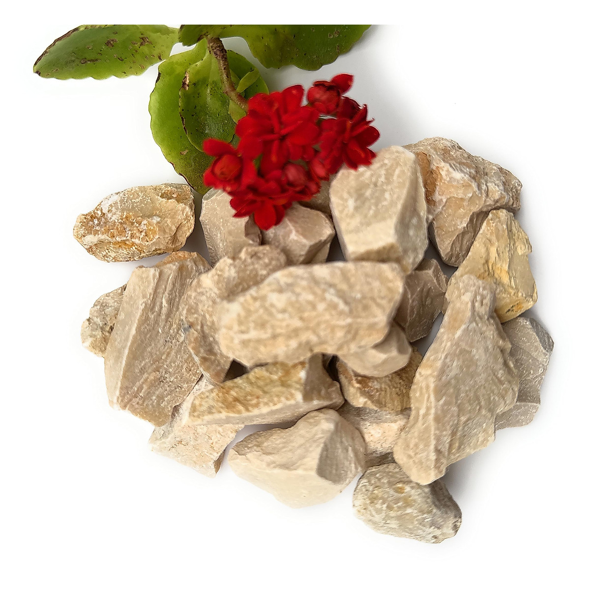 Sacred Raw Gems from Jerusalem - 10 Natural Small Rocks for Jewish Memorials, Graves, Funerals, and Traditional Ceremonials