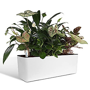 J&C Self Watering Planter, Window Gardening Box, 16x 5.5 Inch, Indoor Home Garden, Modern Decorative Planter Pot for All Indoor Plants, Rectangle, White (Plants Not Included)