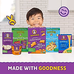 Annie's Organic Chewy Granola Bars, Chocolate Chip, 12 ct