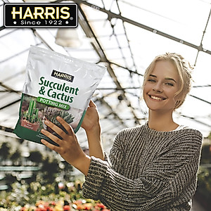Harris Premium Succulent and Cactus Potting Soil Mix, Fast Draining with Added Nutrients, 4 Quarts