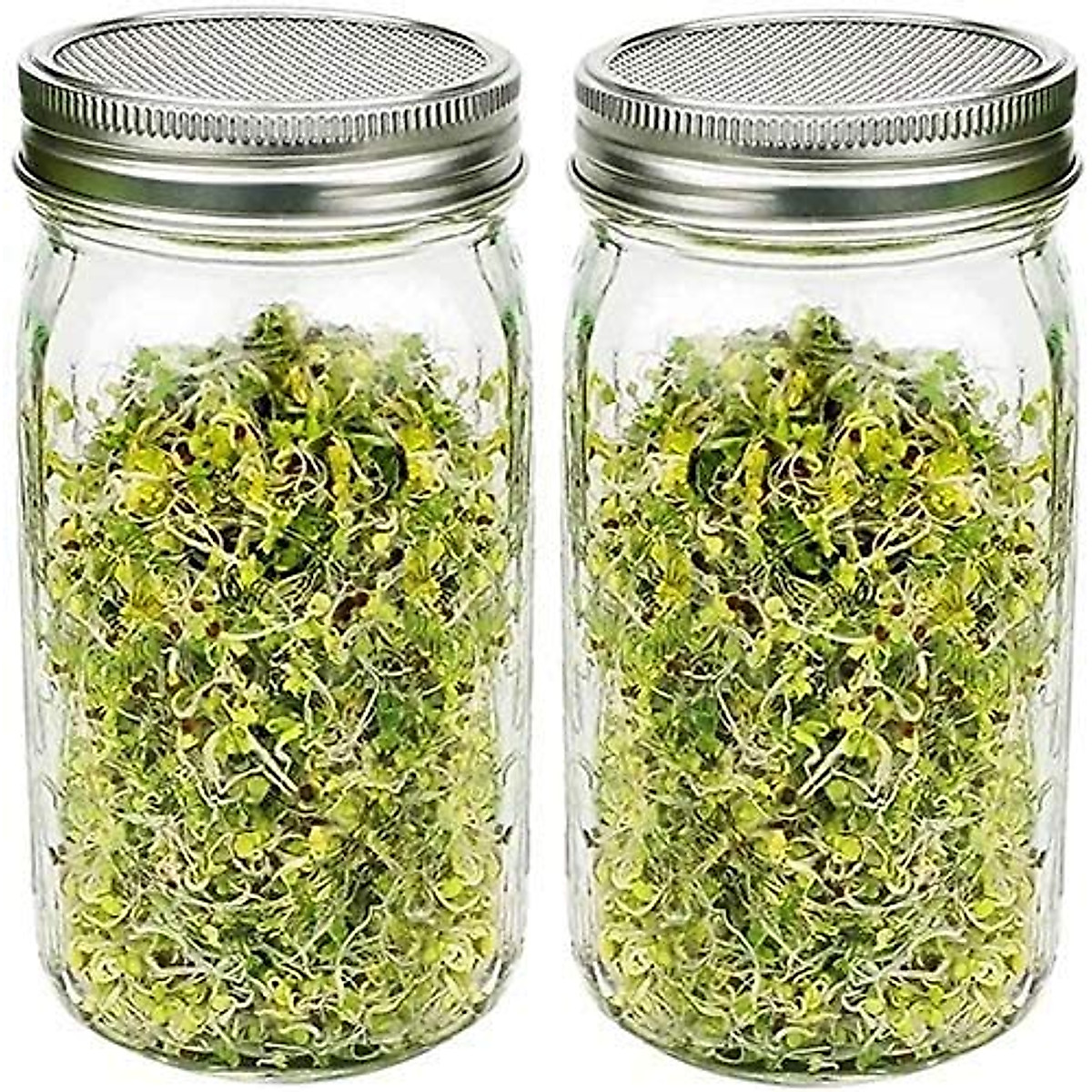 Seeds Sprouting Kit, 2-Pack Mason Jar Germination Growing Kit with Stainless Steel Mesh Lids and Stands, Wide Mouth Jars Germinator, Indoor Seed Sprouter Set for Broccoli Beans Microgreens Sprouts