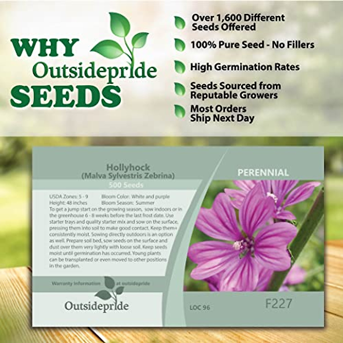 Outsidepride Malva Sylvestris French Hollyhock Zebrina Plant Garden Flower Seed - 500 Seeds