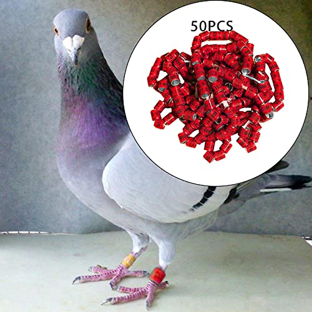 Fenteer 50x 2023 Pigeon Leg Rings Bird Foot Bands for Bantam Finch Canary, Red