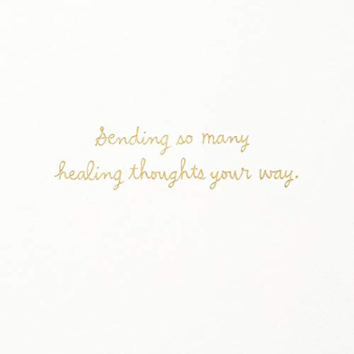 Hallmark Signature Get Well Card (Plant)