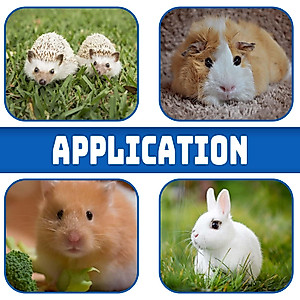 Zorfeter Small Animal Hanging Hammock, Pet Cage Hammock Ferret Bunkbed Hammock Cage Toy for Hamster Rat Parrot Guinea Pig Hideout Play Sleep, Green