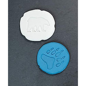 Yellow Door Let's Investigate Polar Footprints, Set of 8