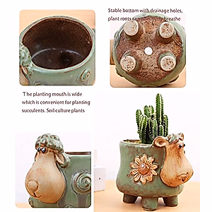 Small Succulent Pots,Succulent Garden Planters,Handicraft Creative Flower Decoration Ornaments,Cute Donkey Ceramic Flower Succulent Pot with Drainage,Suitable for Flower Shops,Home Life,Cafes