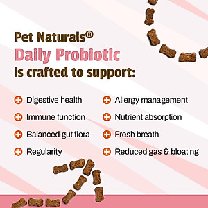 Pet Naturals 120M CFUs Probiotics for Dogs, 60 Chews & Nutri-Vet Eye Rinse for Dogs, 4 oz - Digestive & Eye Health