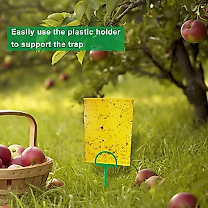 60 Sheets Sticky Fly Traps, Dual-Sided, for Flying Insect, Indoor and Outdoor, 8x6 Inch, Yellow