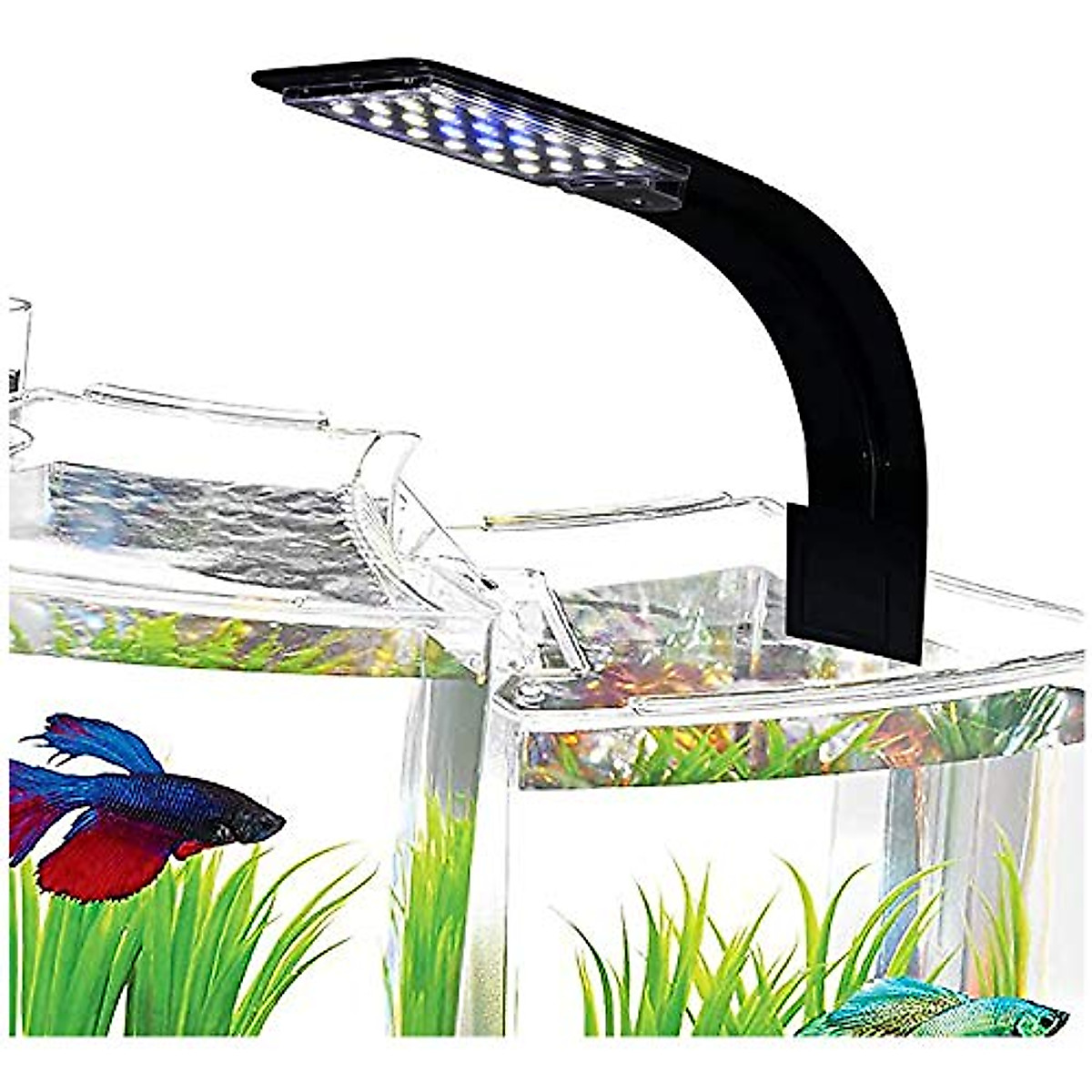 Seven Master Aquarium Clip-On LED Light Clamp Fish Tank Light (Black)