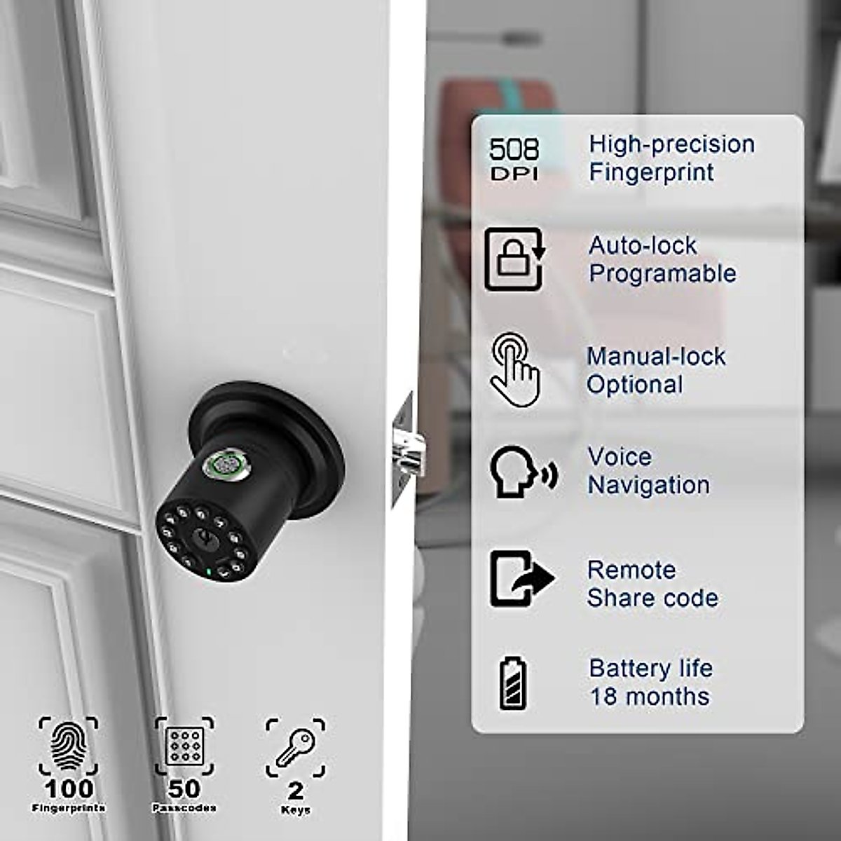 iuknob Fingerprint Door Knob with Keypad and Key, Smart Biometric Digital Lock with Voice Navigation Programming, Combination Electronic Handle for Interior Doors, Entry Gate,Bedrooms,Garage.