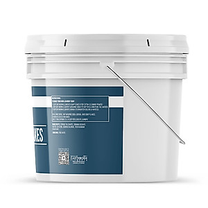 Earthborn Elements Soap Flakes, Homemade Laundry Detergent, Tallow-Based, Unscented (1 Gallon)