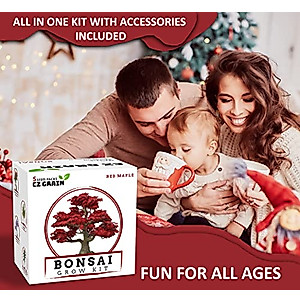 Bonsai Tree Kit – Grow 5 Species of Bonsai Tree w/ Our All-in-One Plant Kit: Bonsai Pots & Peat Pellets Including a Tutorial Video by CZ Grain | Great Gardening Gifts for Women and Men