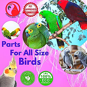 Bonka Bird Toys 1031 Pk4 Half Shell Coconuts Natural Forage Chewing Party Arts Craft Parrot Macaw African Grey