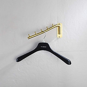 JQK Folding Clothes Hanger Rack, Stainless Steel Swing Arm Hook Holder, Clothing Hanging System Drying Closet Storage Organizer Brushed Gold Wall Mount, SHR100-BG