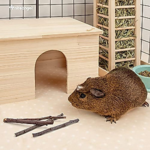 Niteangel Willow Mega Munch Sticks for Rabbits Chinchilla Guinea Pigs - Small Animal Treat Chew Toys - 2 Packs