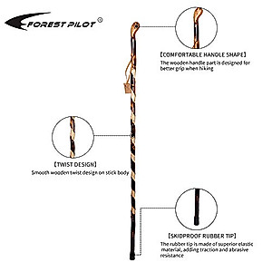 FOREST PILOT Mimetic Root Head Wooden Walking Stick (Dark Brown Color, 55 Inches, 1 Piece)
