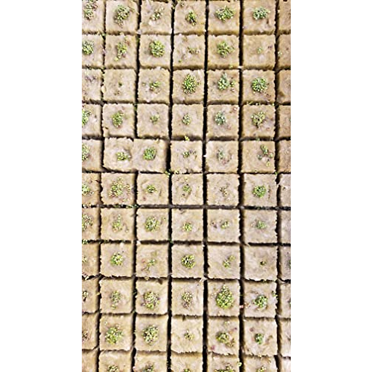 Garden Rockwool Grow Cubes Starter Plugs,for Soilless Culture, Seed Starter, Ideal Hydroponic Grow Media (1.5in-49pcs)